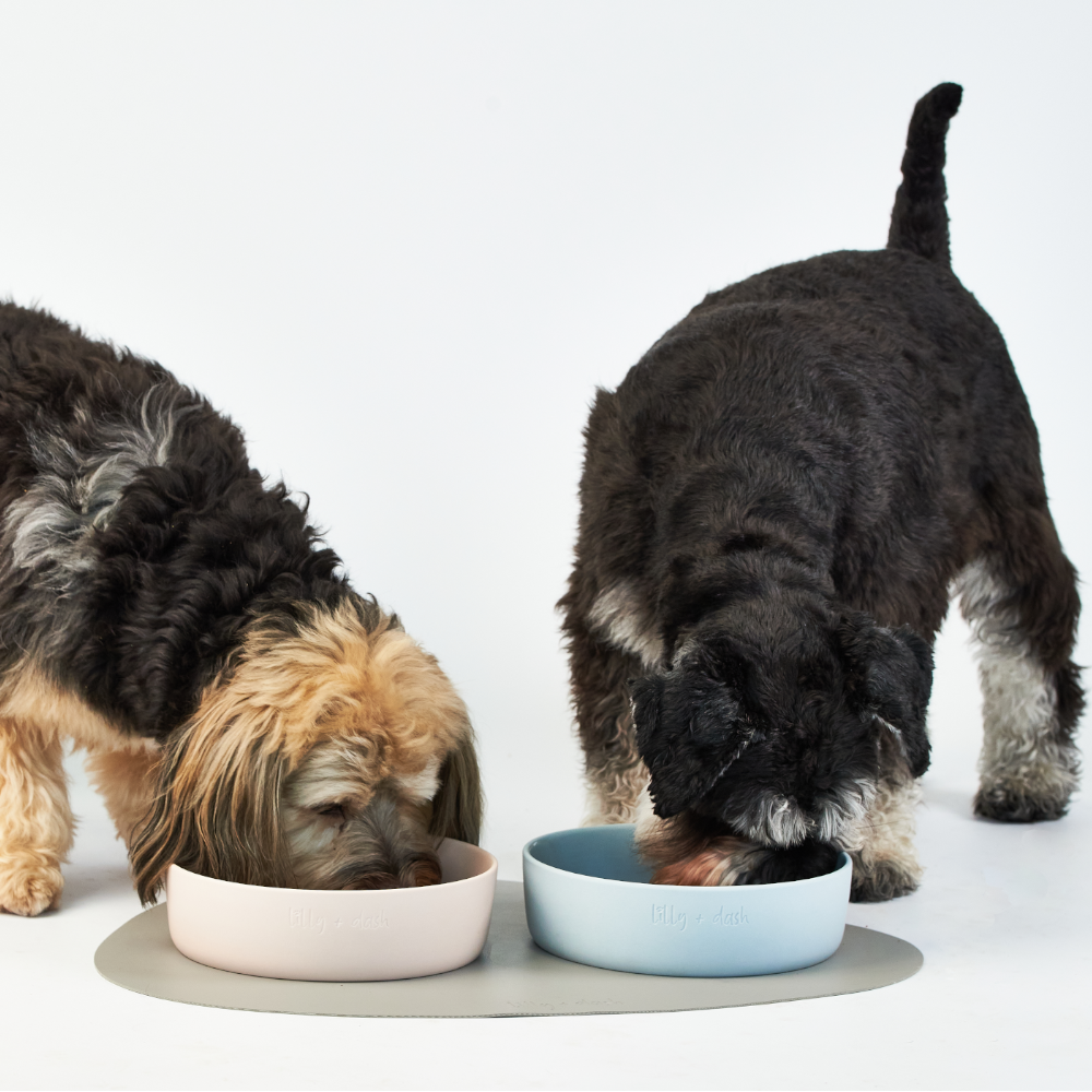 all products – Lilly + Dash